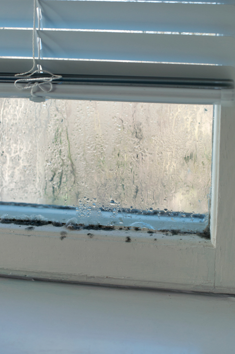 mold-on-windowsill | Ross Pest Control & Mold Removal