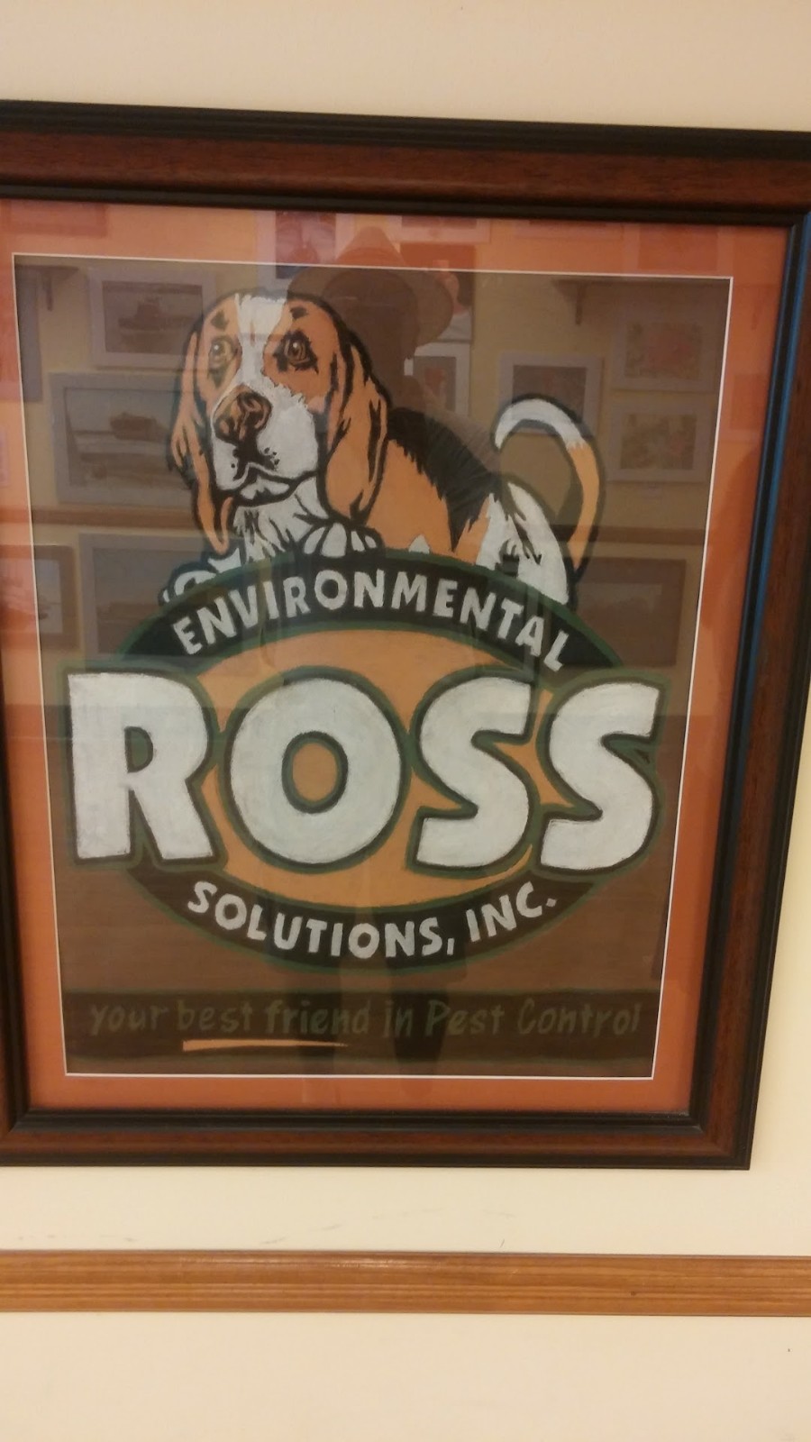 The Ross Report | Ross Pest Control & Mold Removal