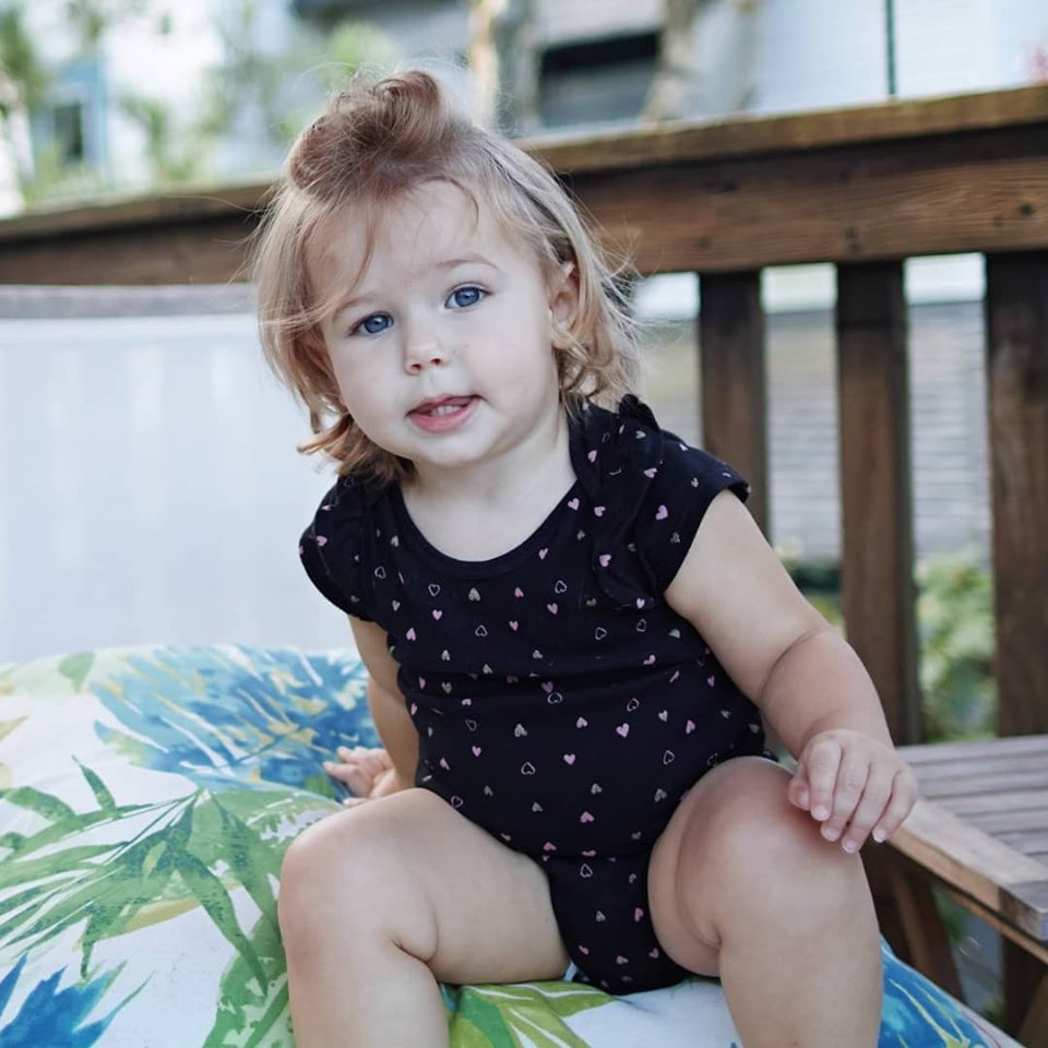 | Ross Pest Control & Mold Removal